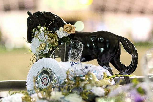 Show Horse Council Australasia - 2018