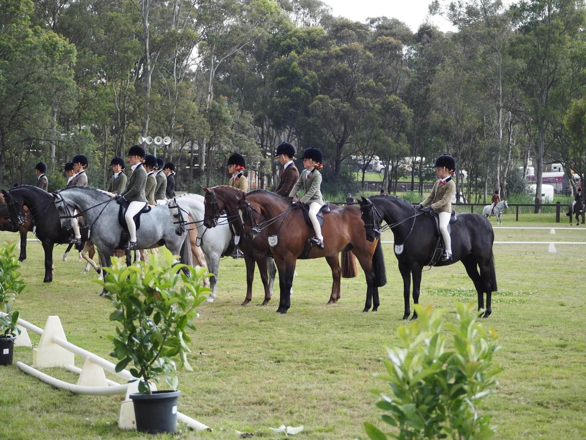 Show Horse Council Australasia - 2018