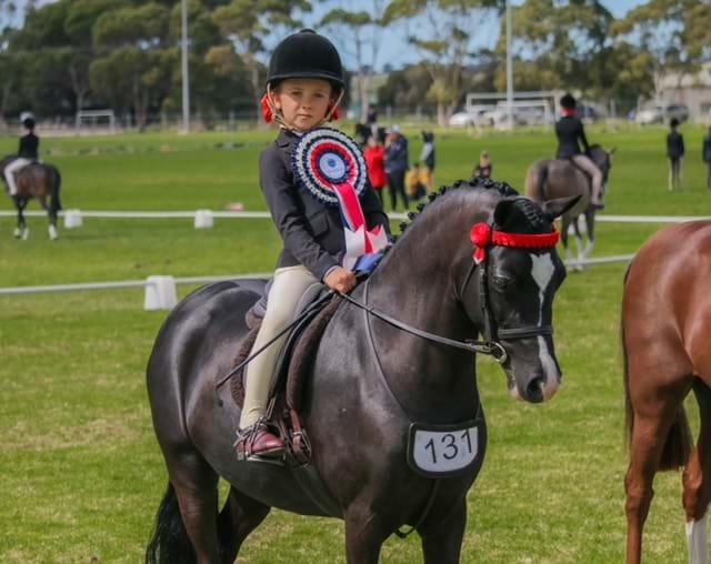 Show Horse Council Australasia - 2018