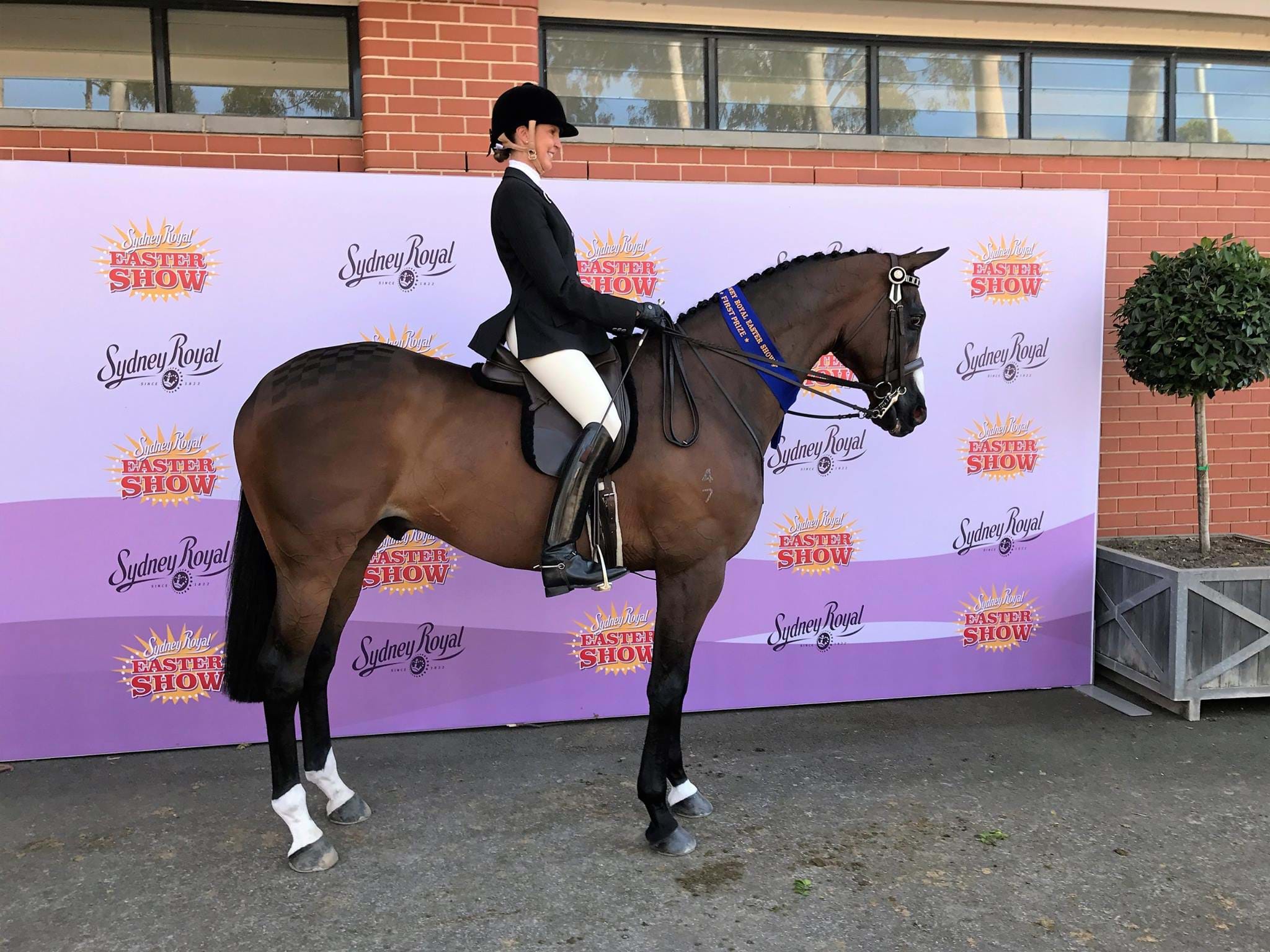 Show Horse Council Australasia - 2018